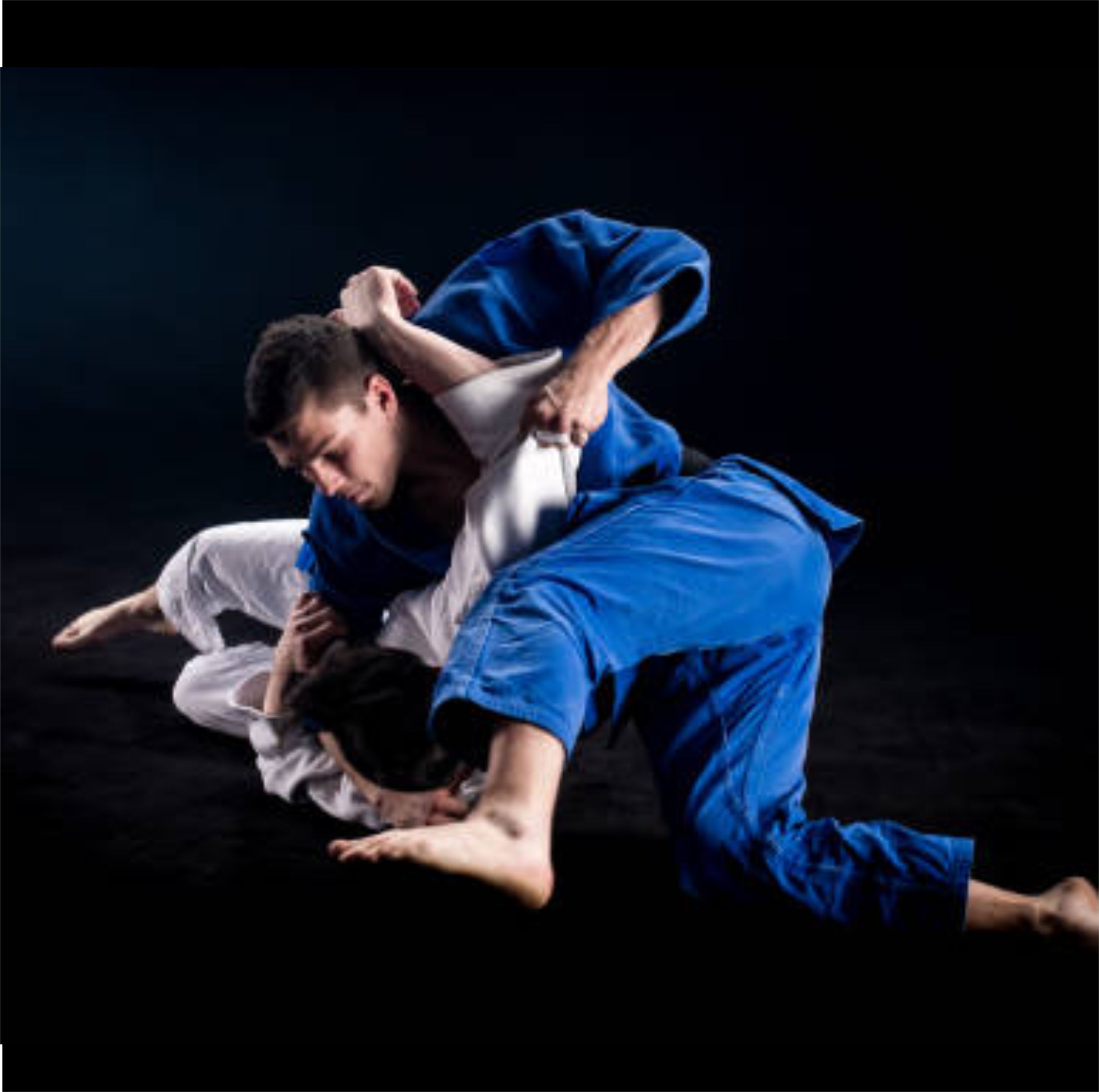 Products – Bushido Martial Arts Supplies