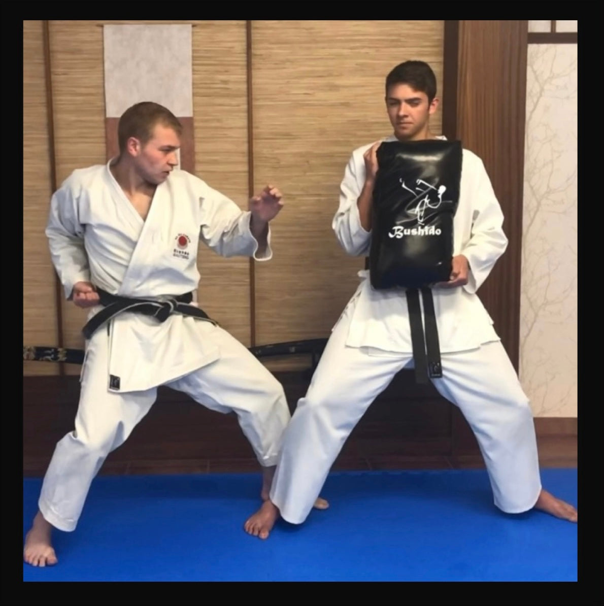 Hand held Kick Bags – Bushido Martial Arts Supplies